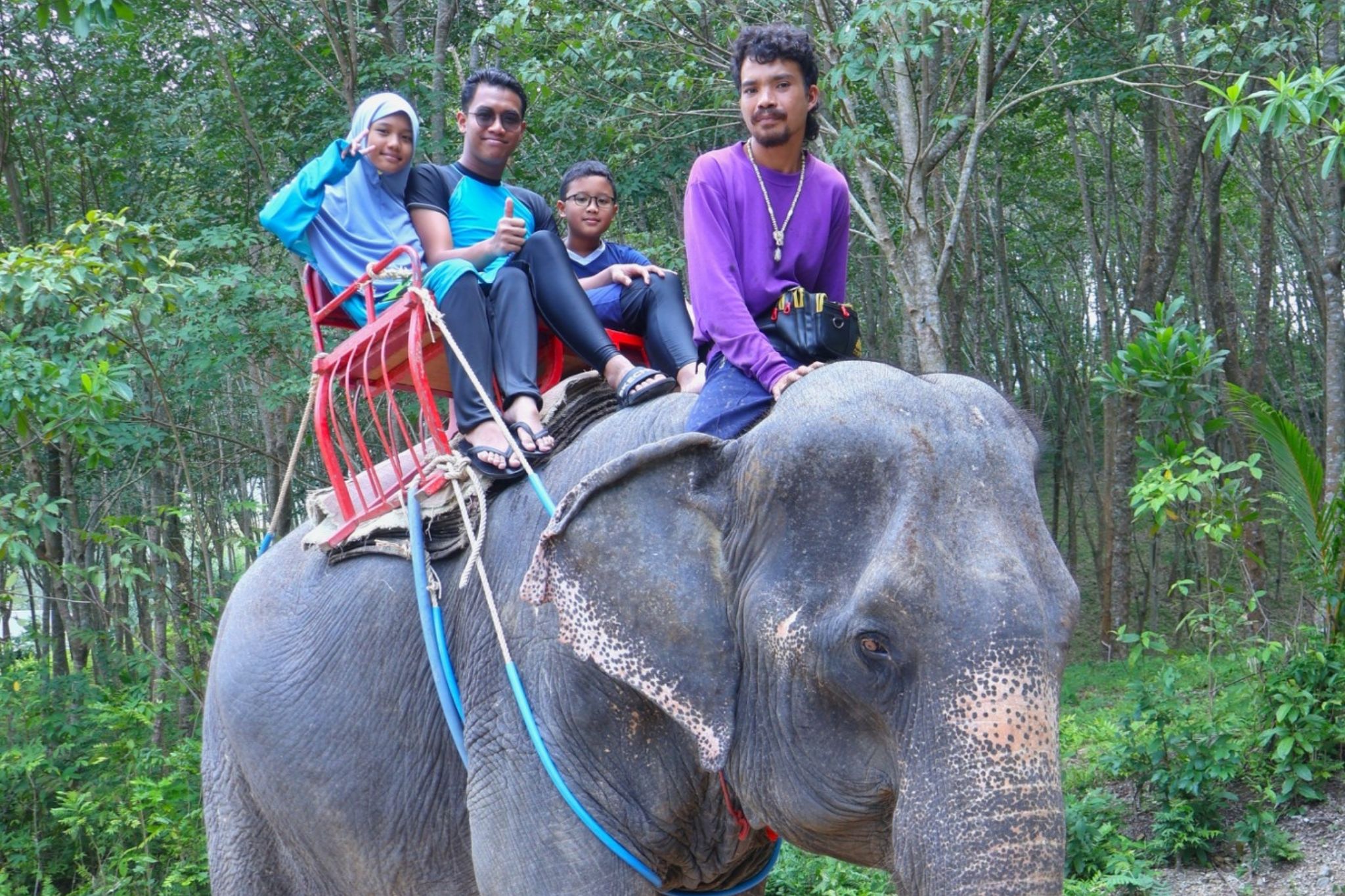 The Transformation of Thai Elephant Camp