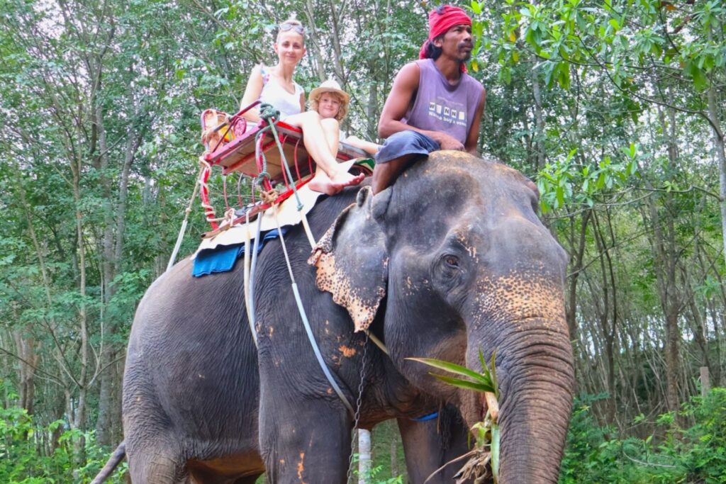 The Magic of White Elephants in Thailand's Cultural Landscape